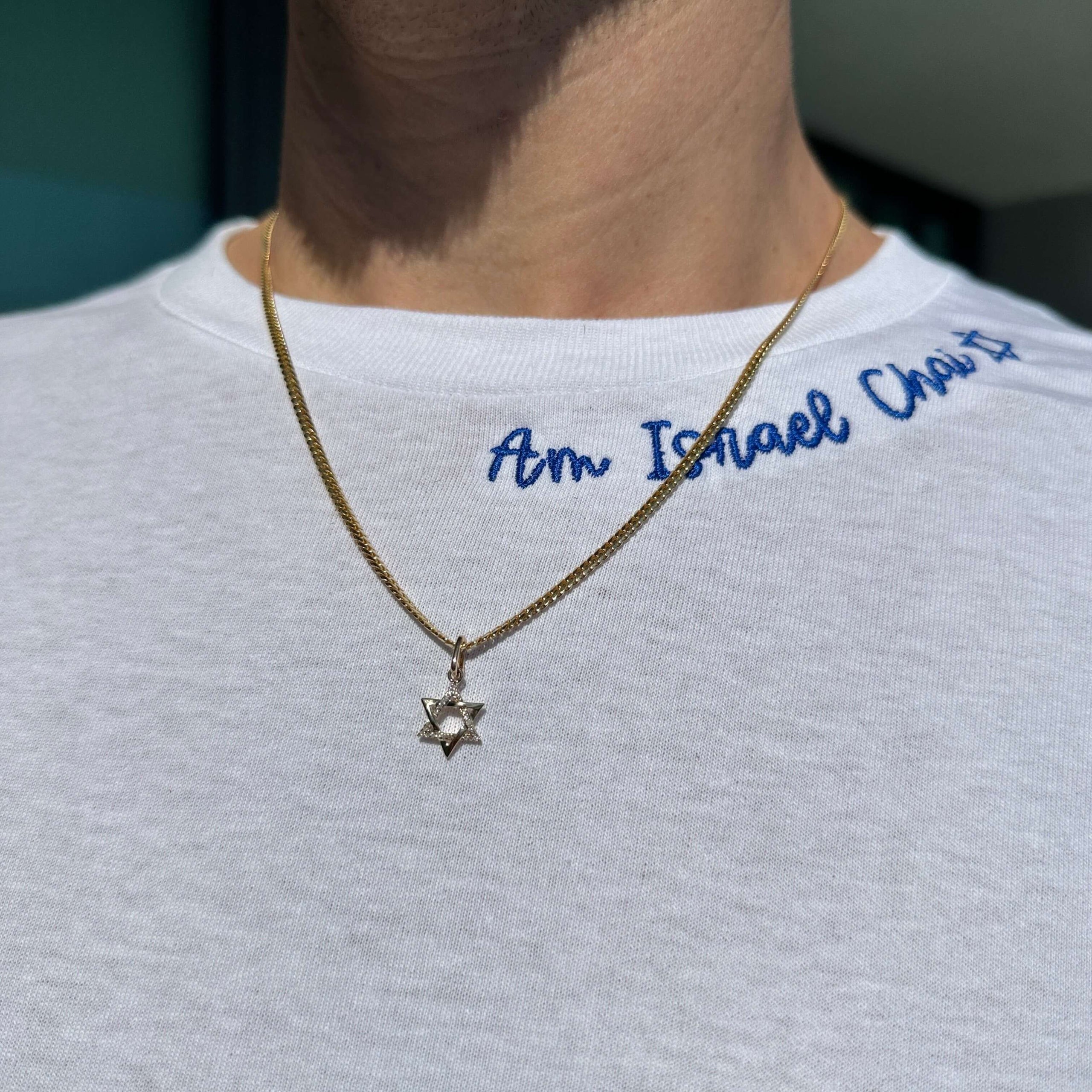 Half Pave Diamond Star of David Charm in 14K Gold | Izakov Fine Jewelry ...